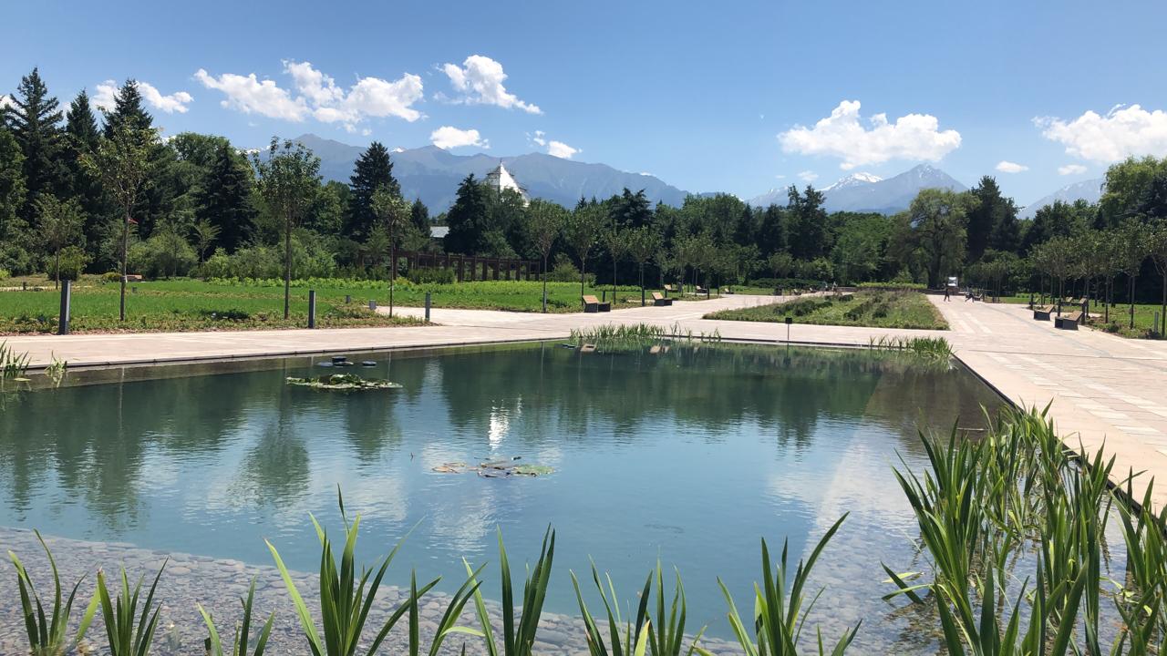 Major "green" event of the summer in Almaty: what the Botanical Garden ...